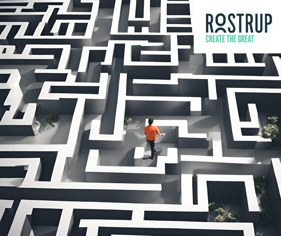 Leadership Labyrinth – Management Maze by Hans Rostrup